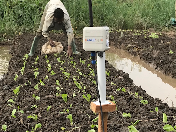 CORDIS: WAZIUP "Results in Brief " translated in 6 languages - FBK: CREATE-NET